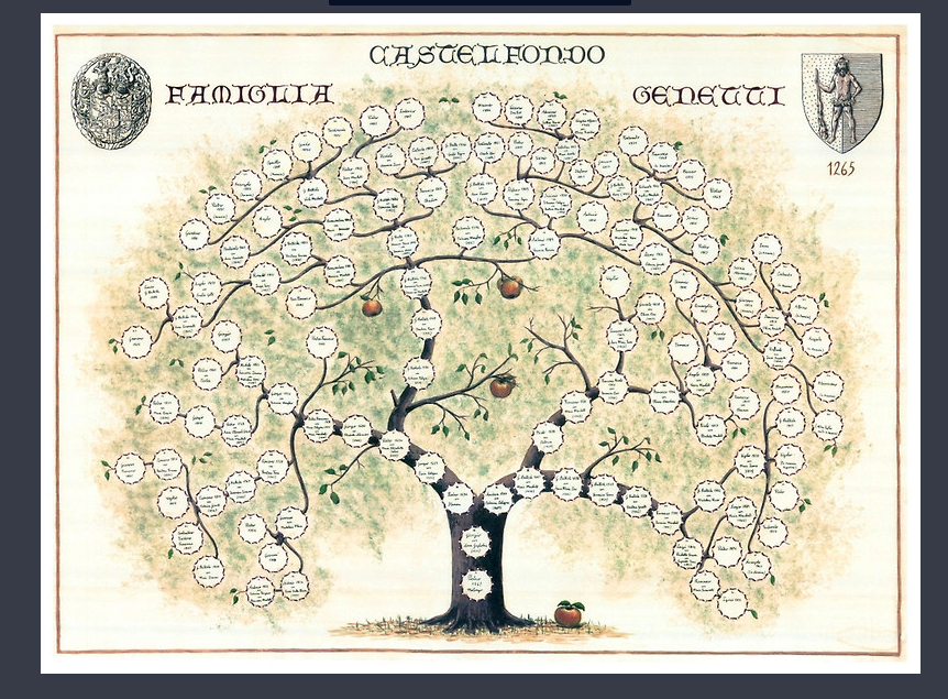 Family Tree – The Genetti Family Genealogy Project